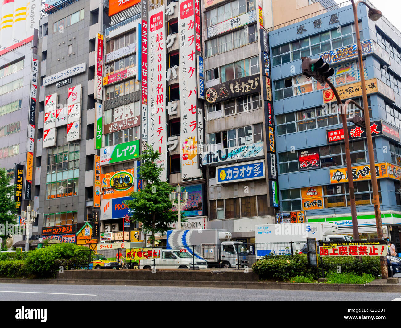 HAKONE, JAPAN - JULY 02, 2017: Unidentified people walking at the ...