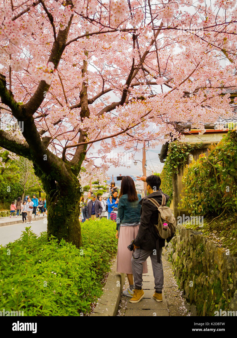 Japanesehanami hi-res stock photography and images - Alamy