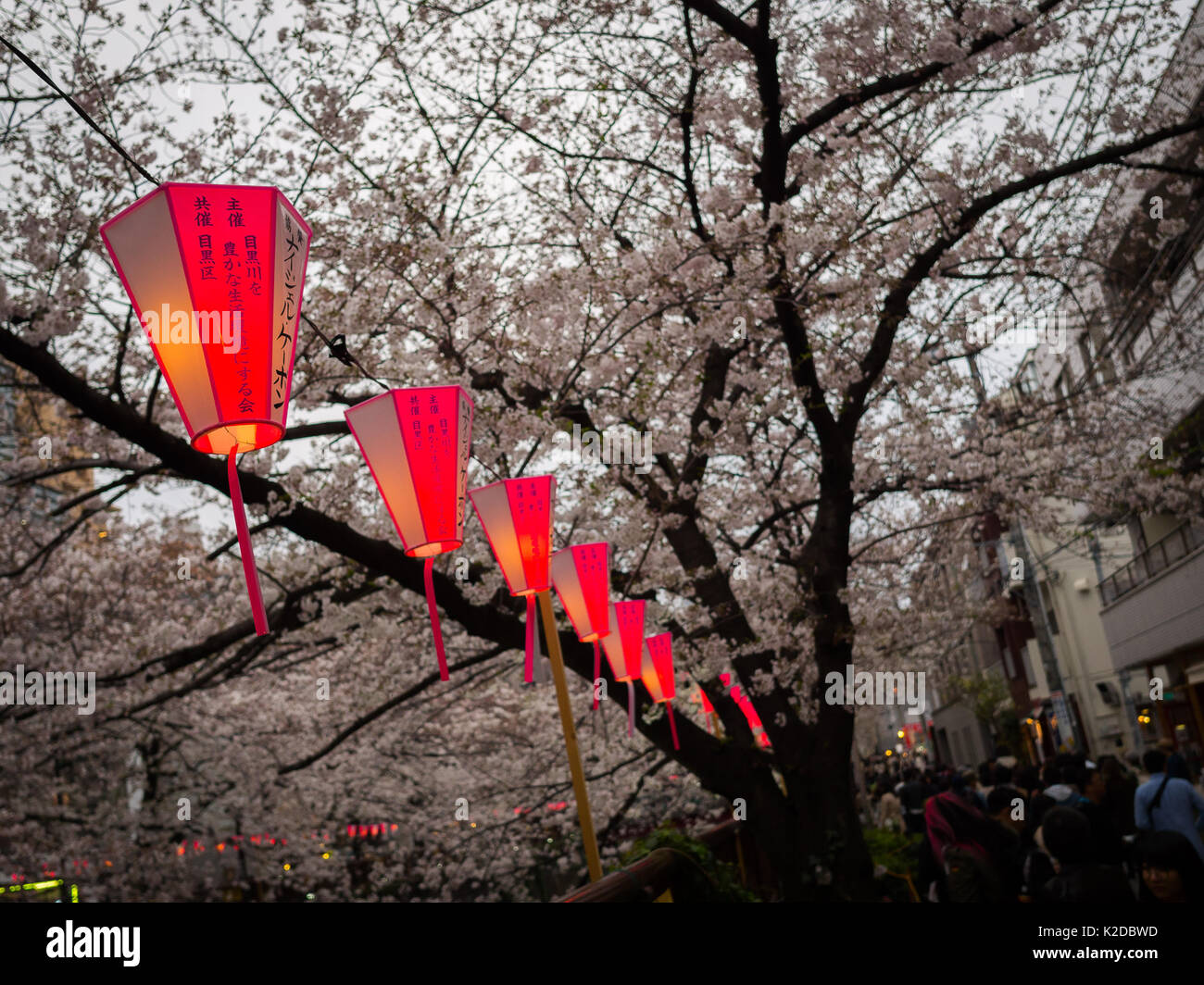 HAKONE, JAPAN - JULY 02, 2017: Japanesse letters in a red lantern with ...