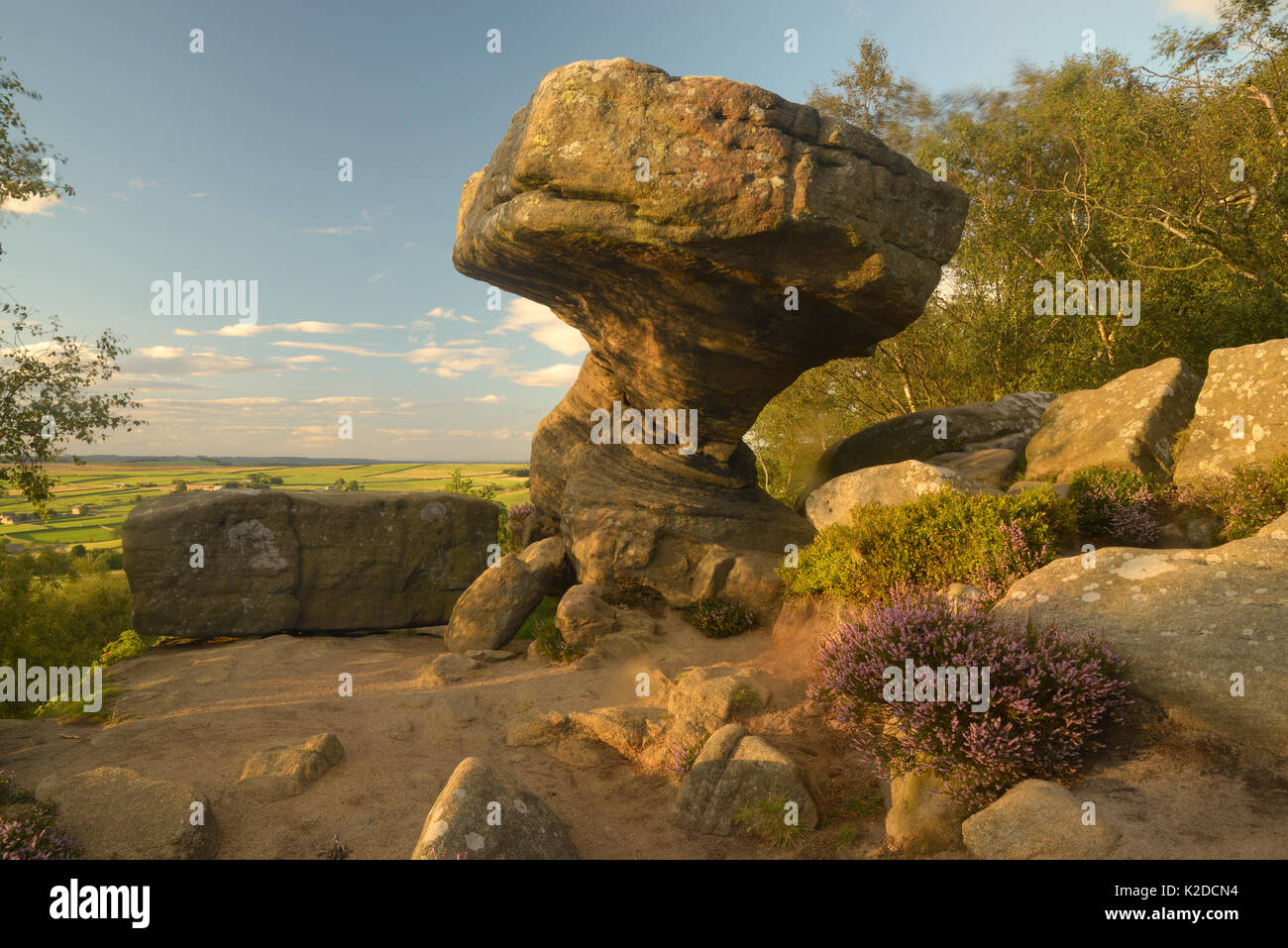 Brimham rocks in the Nidderdale area of North Yorkshire, England, UK ...
