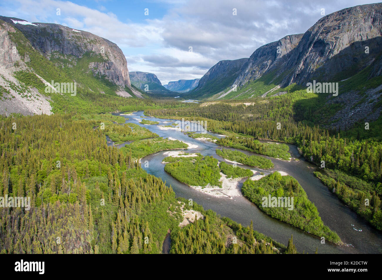 Labrador canada forest hi-res stock photography and images - Alamy