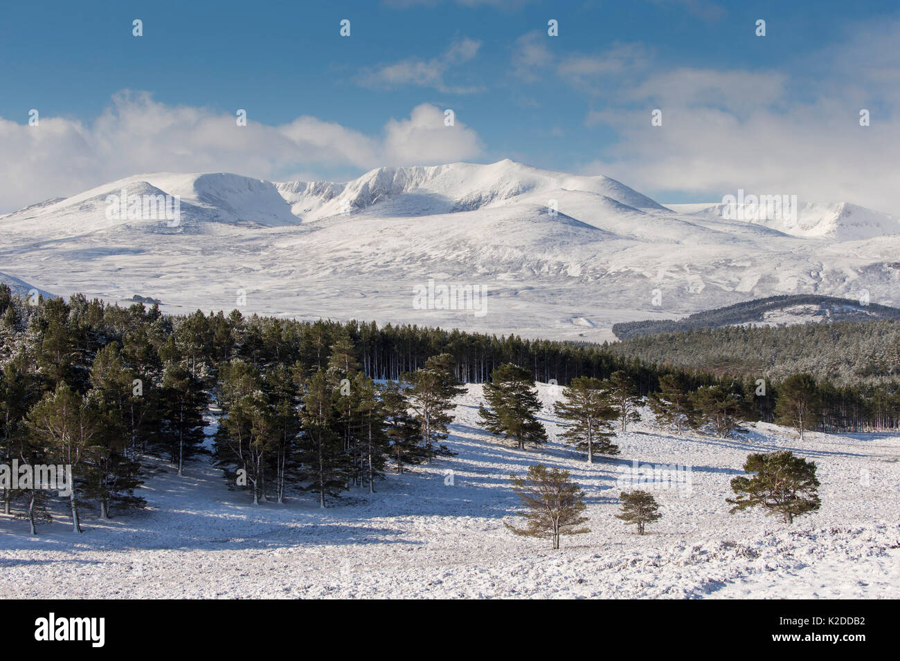 Lochnagar in winter aberdeenshire hi-res stock photography and images ...