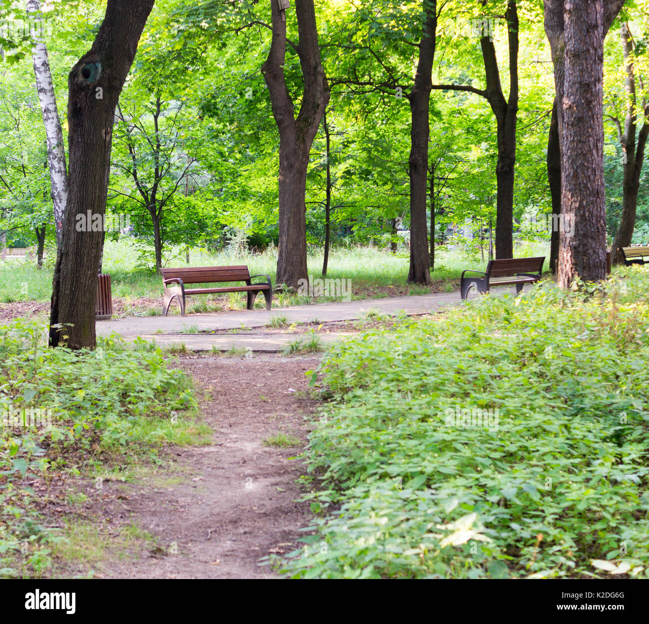 path with bench in a quiet summer park. background, nature Stock Photo ...