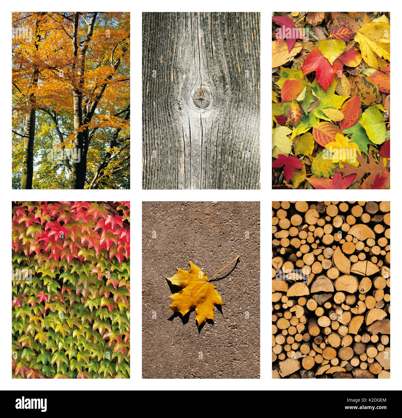 Collage of Autumn backgrounds and seasonal elements Stock Photo - Alamy