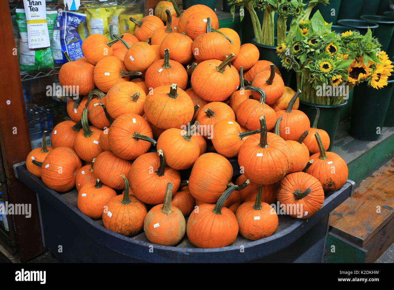 Halloween pumpkin store Stock Photo - Alamy
