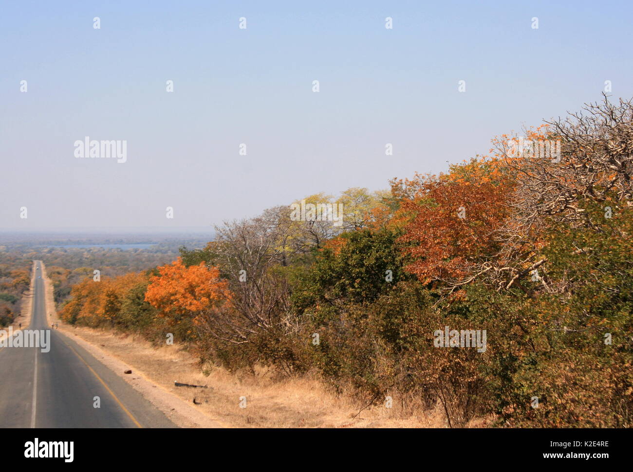 Long road from the Zambian border to Victoria Falls Stock Photo - Alamy