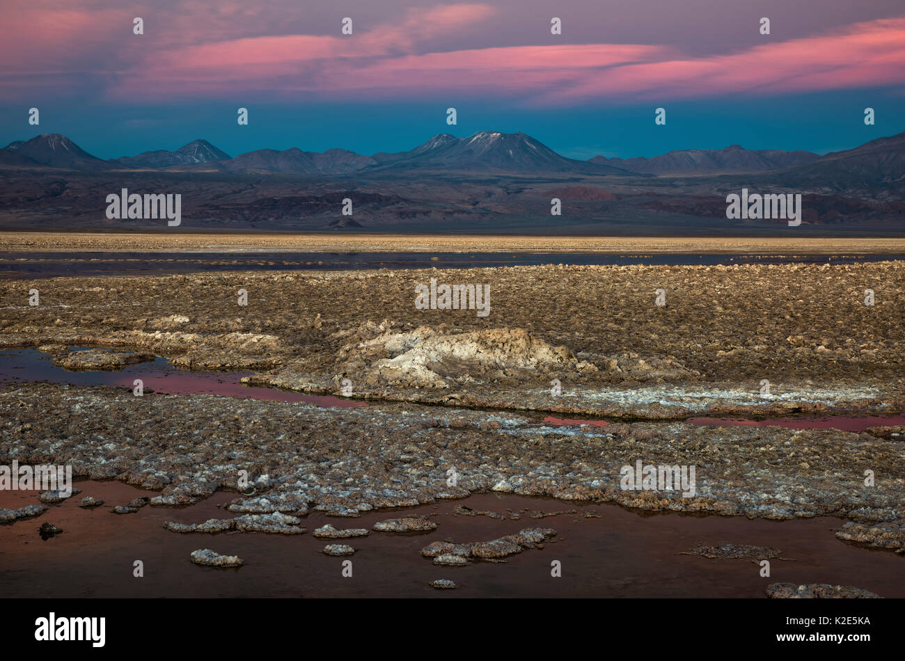 Sunset, Laguna Chaxa lagoon in Salar de Atacama salt lake, behind ...