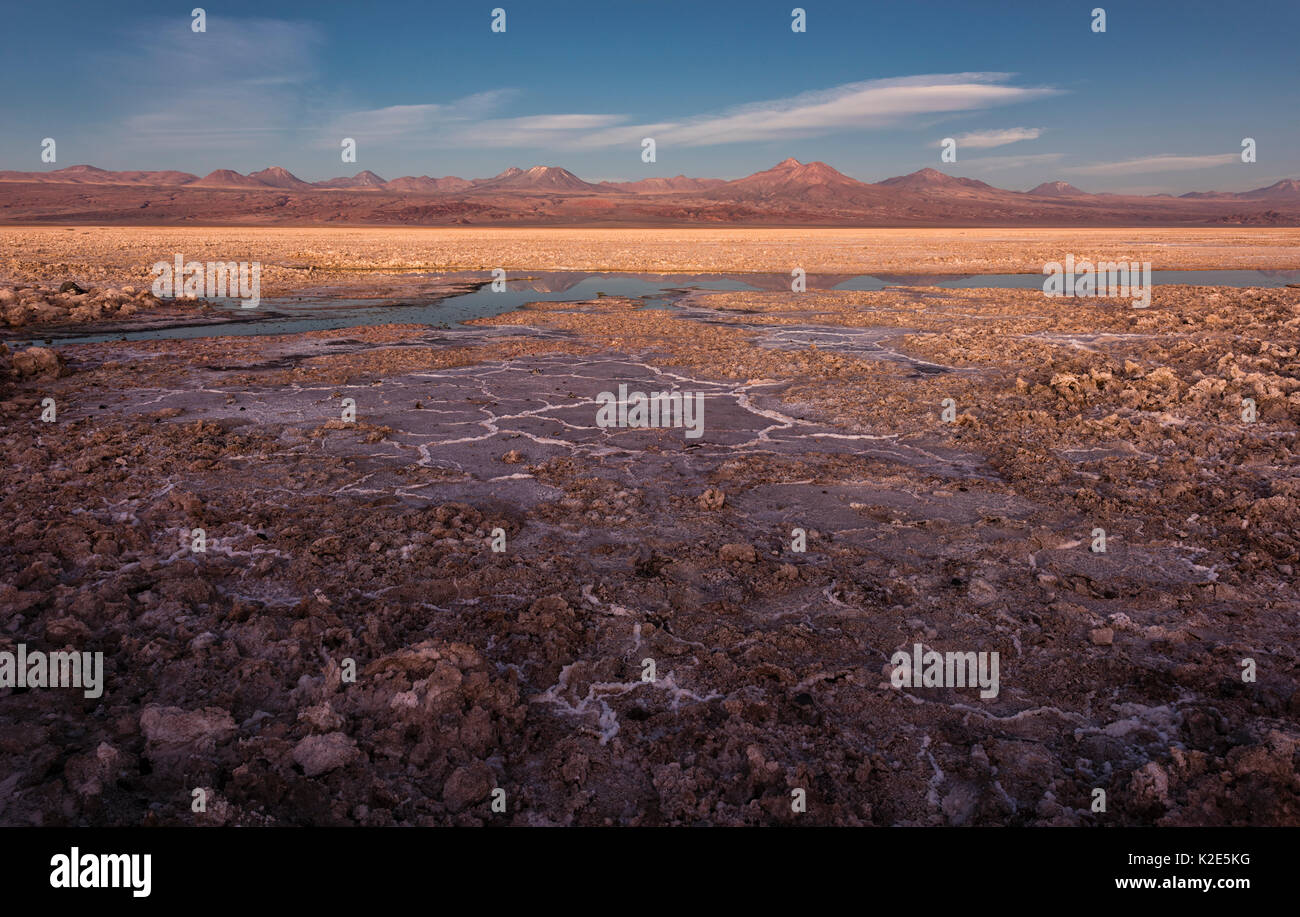 Laguna Chaxa lagoon in the salt lake Salar de Atacama, behind the ...