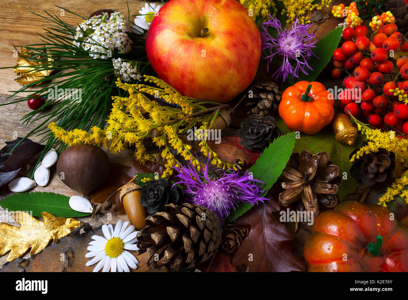 Thanksgiving greeting with pumpkin, apples, autumn leaves, berries and ...