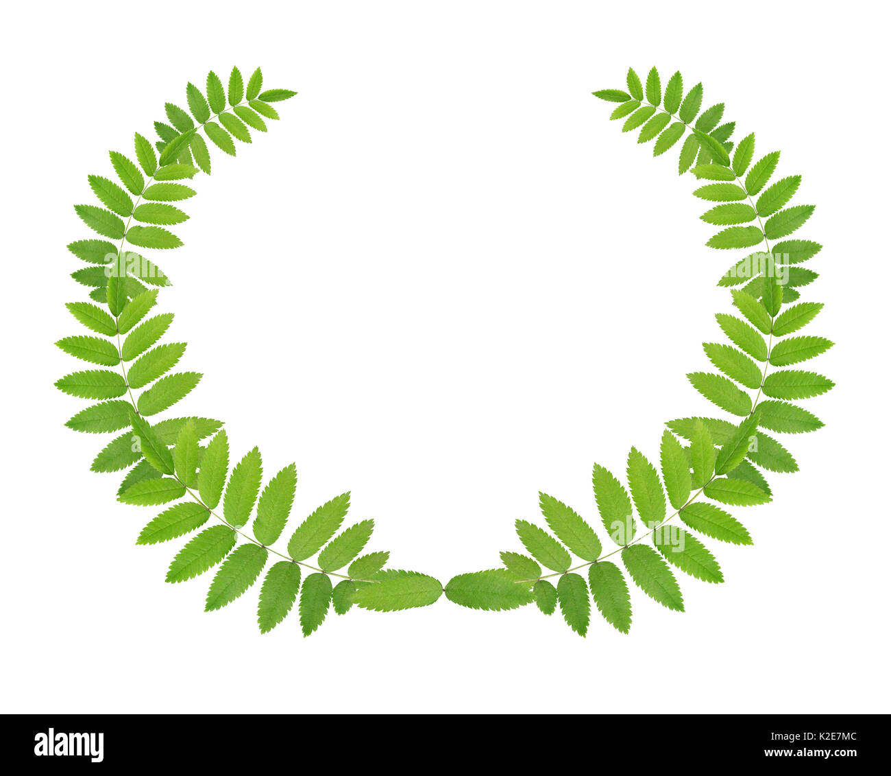 Wreath round frame made Cut Out Stock Images & Pictures - Alamy