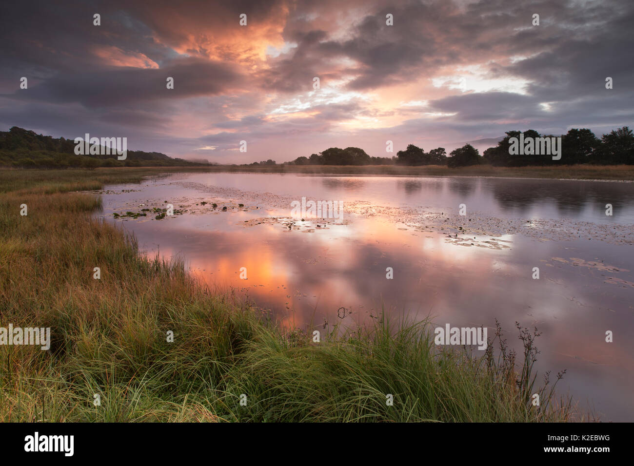 Reflections in lochan at sunrise, Insh Marshes National Nature Reserve ...