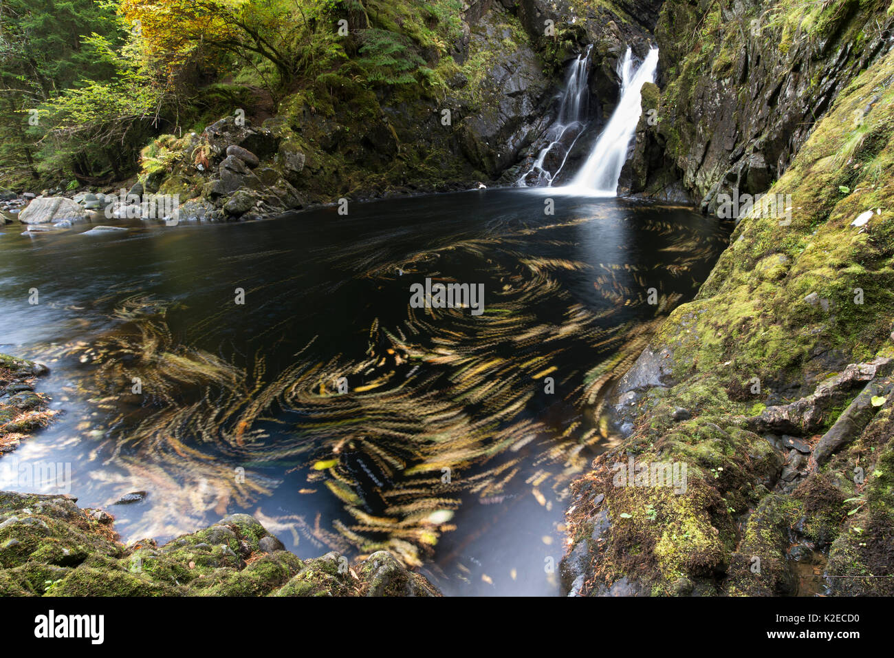 Tomich scotland hi-res stock photography and images - Alamy