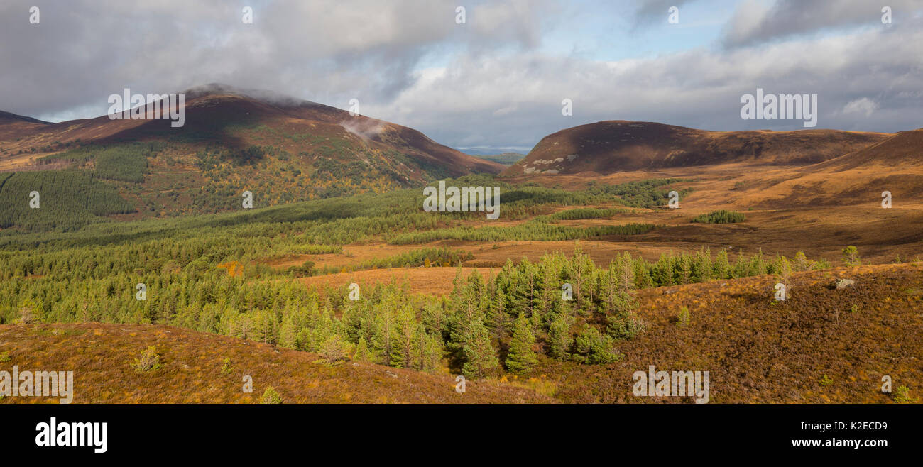 Glenmore hi-res stock photography and images - Alamy