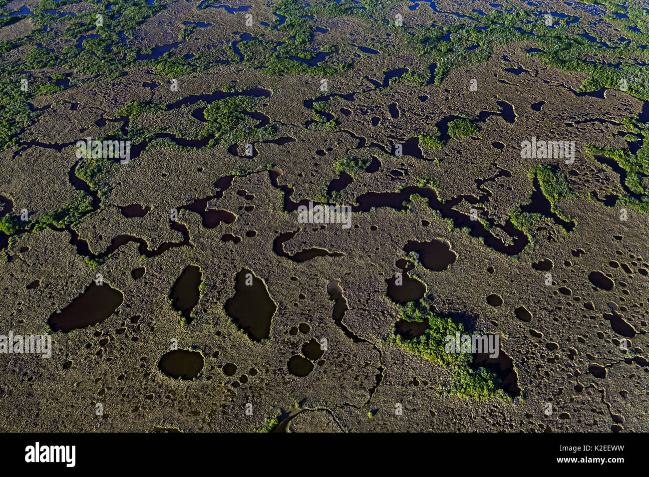 Everglades aerial view florida hi-res stock photography and images - Alamy