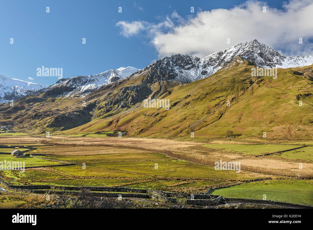 Garn goch wales hi-res stock photography and images - Alamy