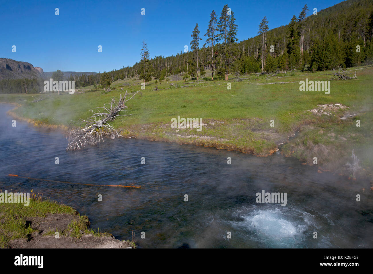 Terrace Springs hot pools in the Maddison River Valley, Grand Loop Road ...