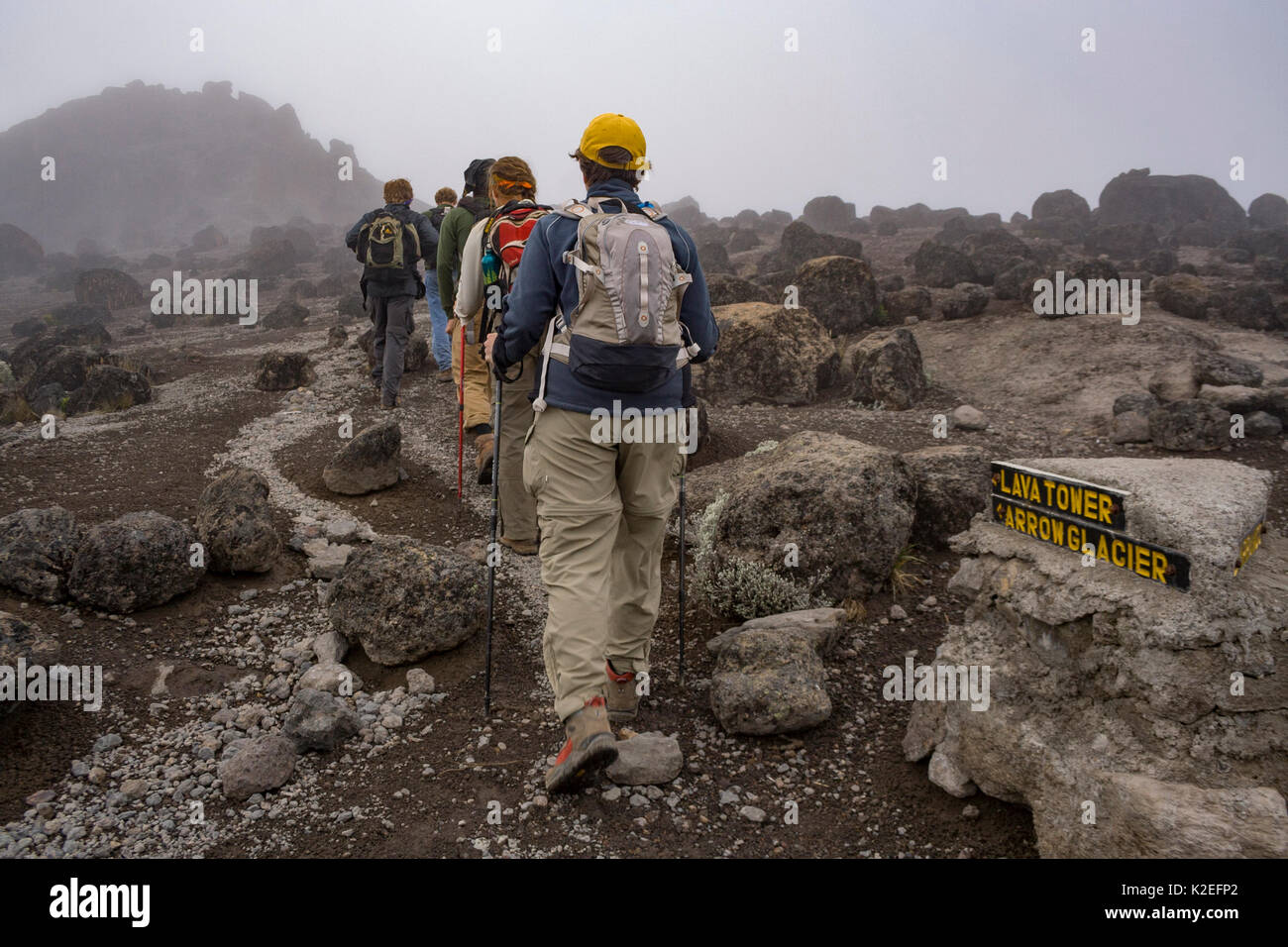 Hikers along the machame route hi-res stock photography and images - Alamy
