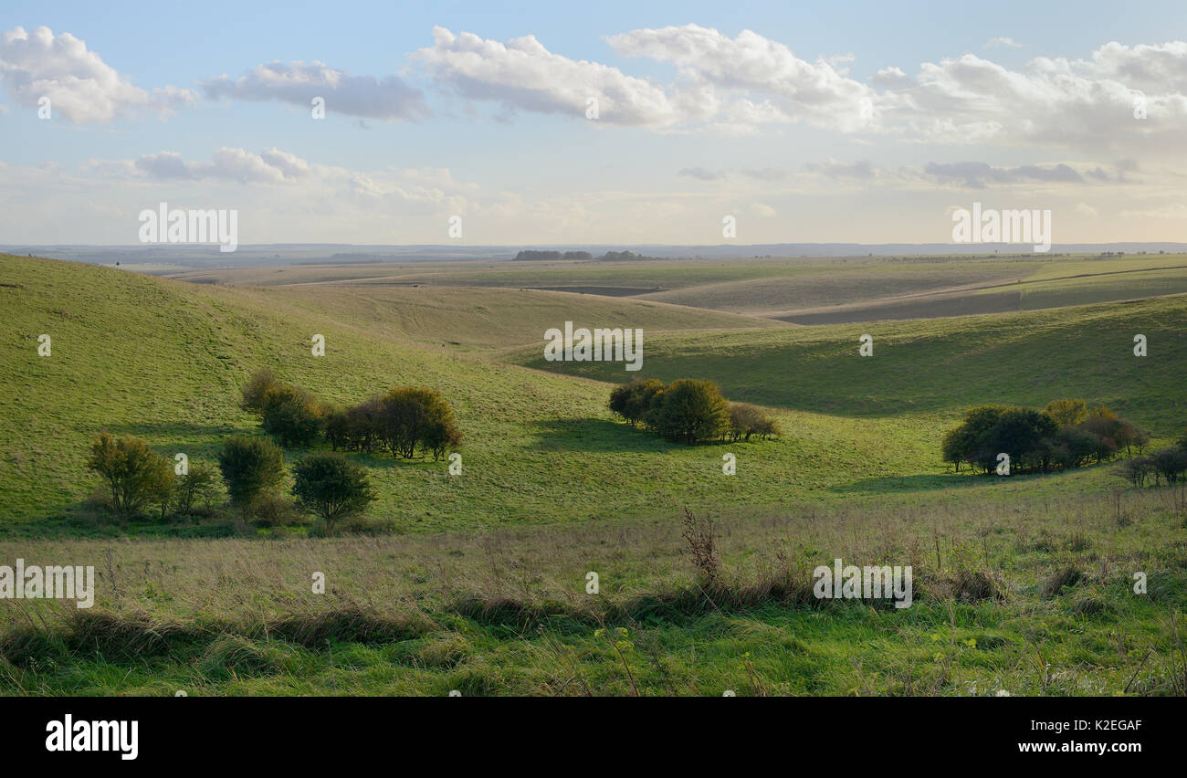 Overview of salisbury plain chalk downland m o d firing ranges hi-res ...