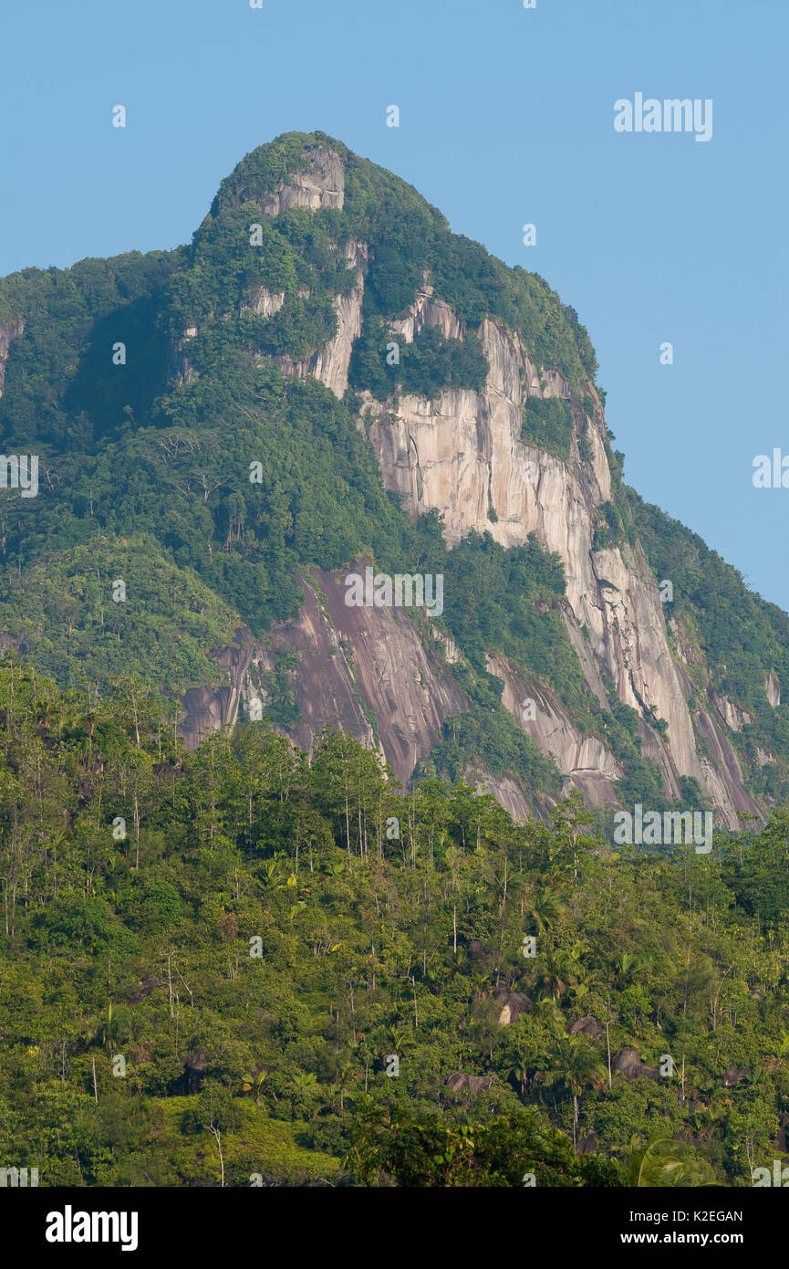 Morne Blanc mountain and pristine tropical rainforest, Morne Seychelles ...