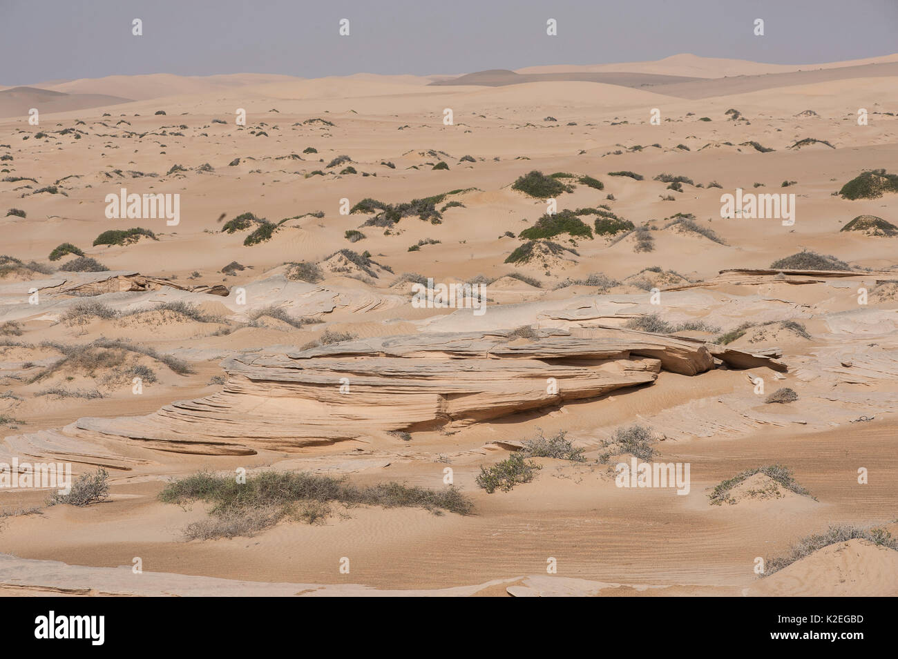 Sparse vegetation hi-res stock photography and images - Alamy