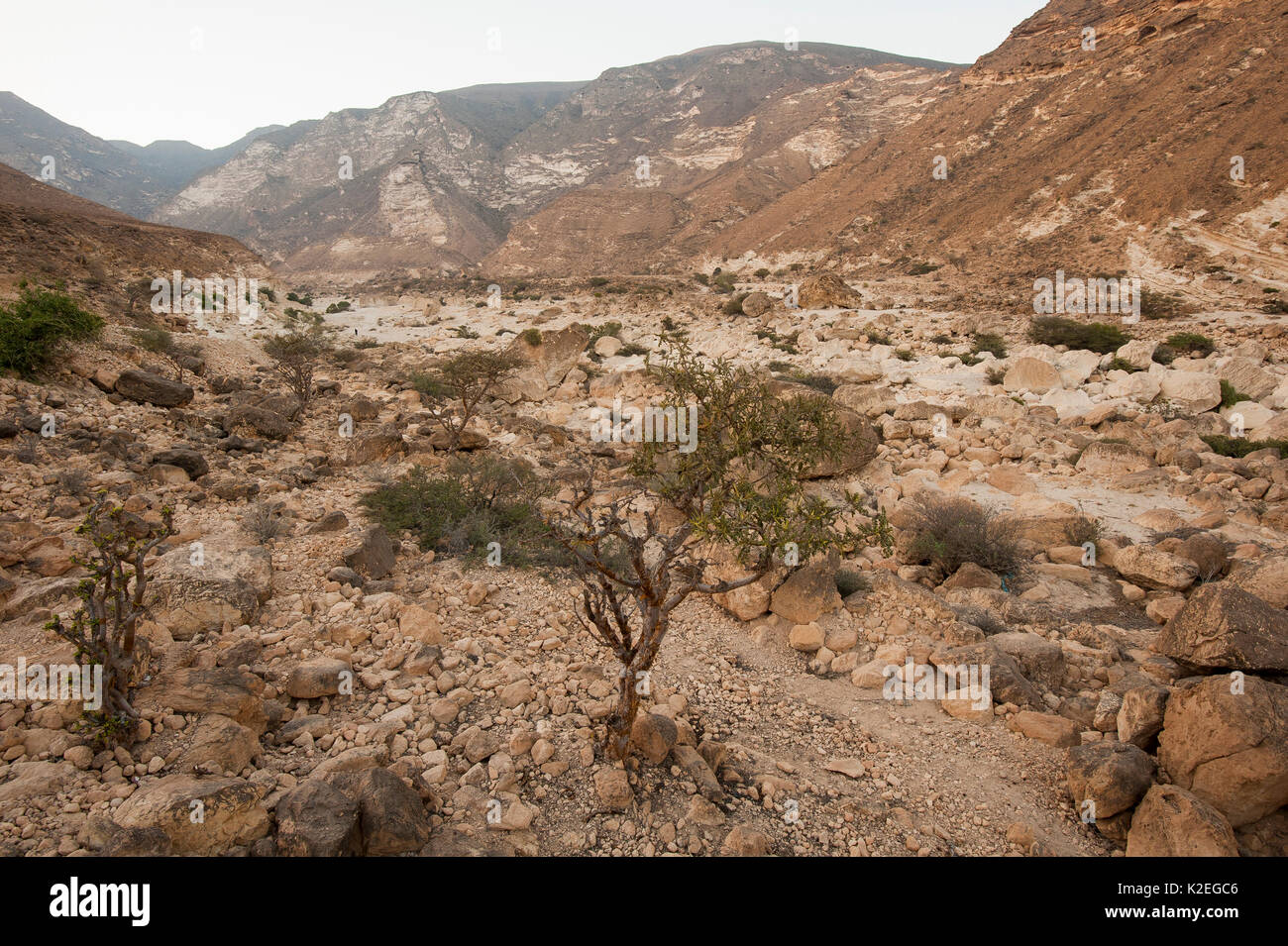 Rocky desert hi-res stock photography and images - Alamy