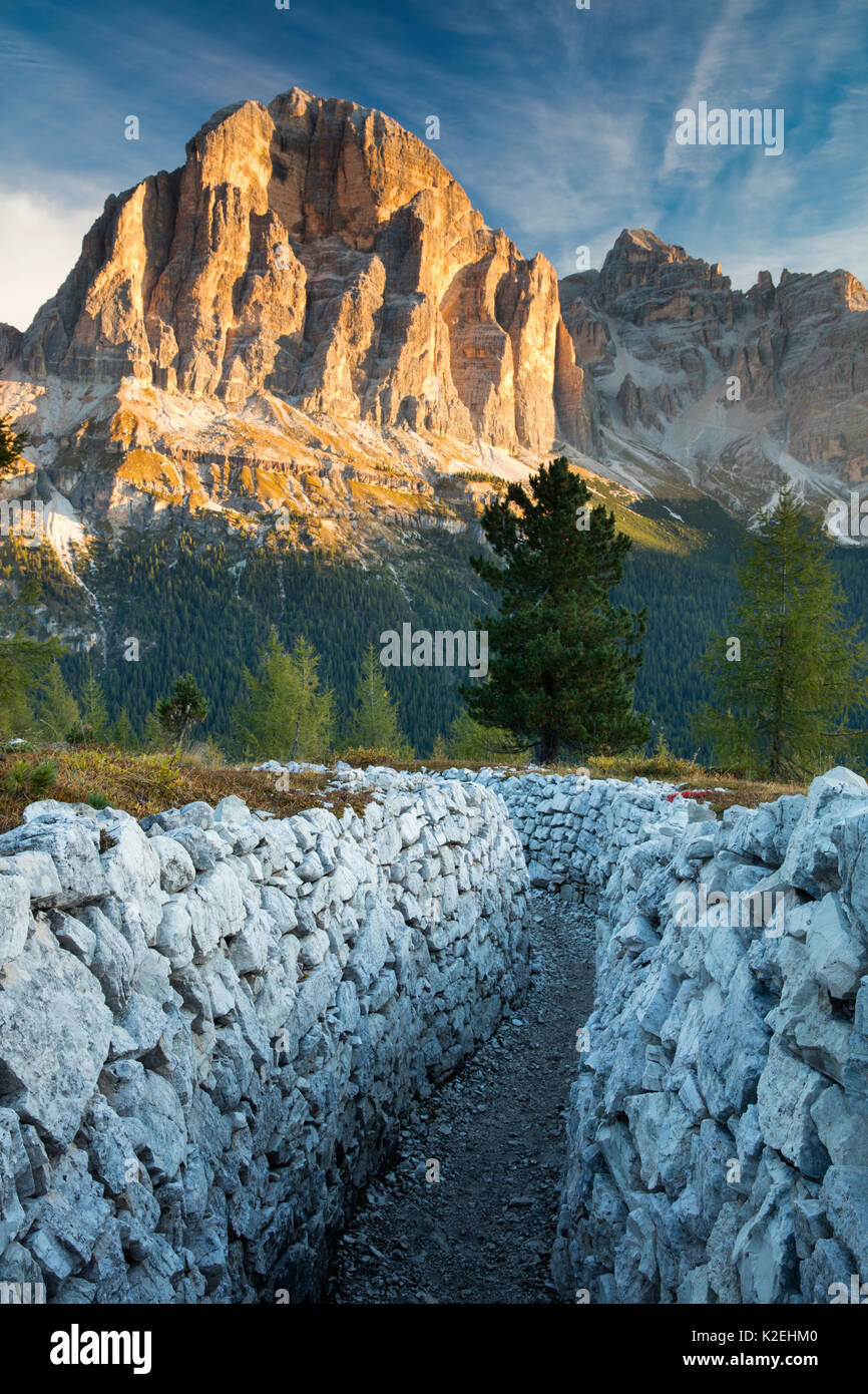 World war one trenches hi-res stock photography and images - Alamy