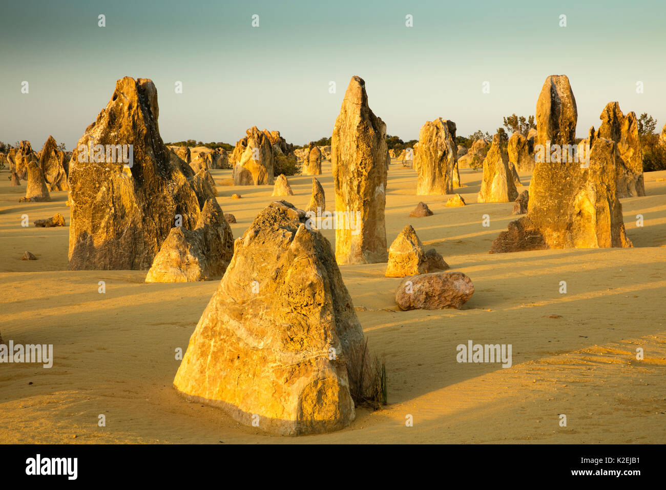 The Pinnacles, limestone formations. Nambung National Park, near ...