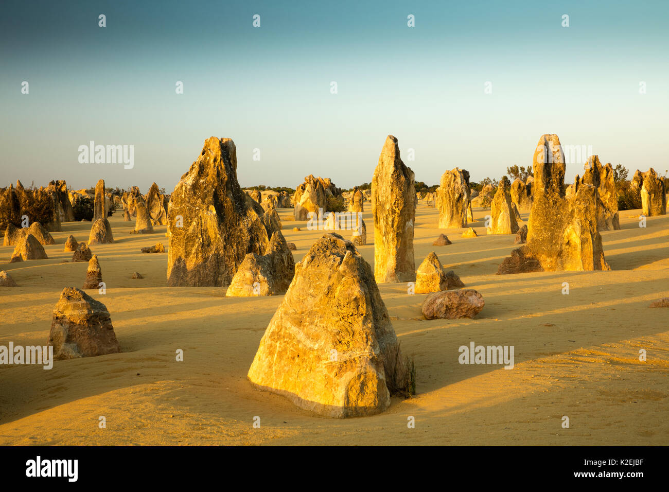 The Pinnacles, limestone formations. Nambung National Park, near ...