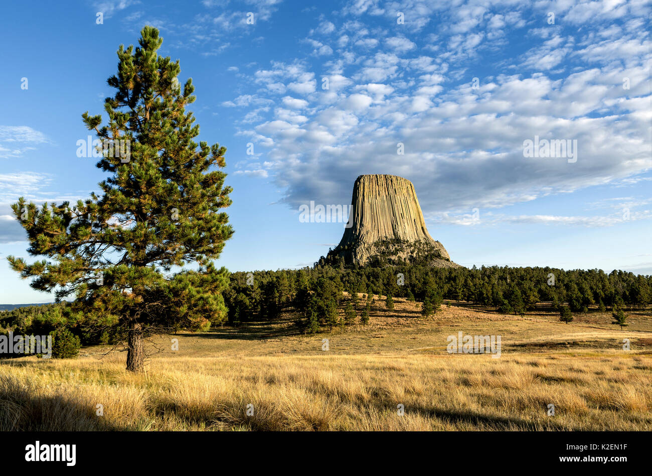 Devils Tower viewed from the Joyner Ridge Loop Trail in Devils Tower ...