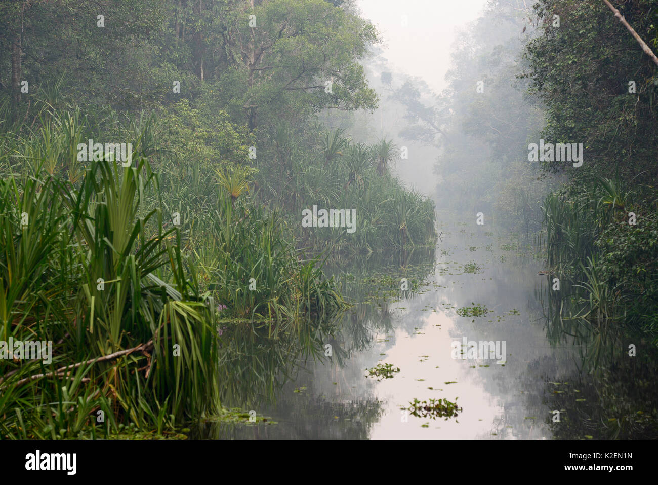 Smoke from river fire hi-res stock photography and images - Alamy
