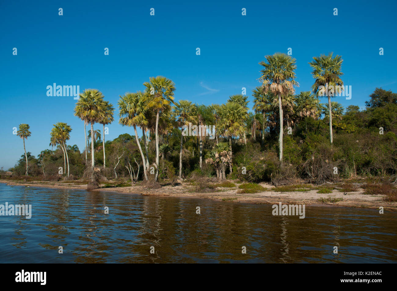 Corrientes province argentina hi-res stock photography and images - Alamy