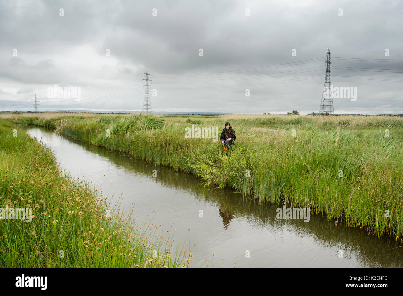 Chloe Sadler of Kent Wildlife Trust 'Water Vole Recovery Project ...