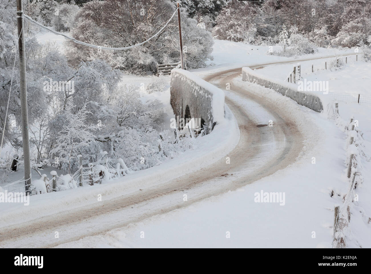 Rural country road with s bend on a winters day, Rogart, Sutherland ...