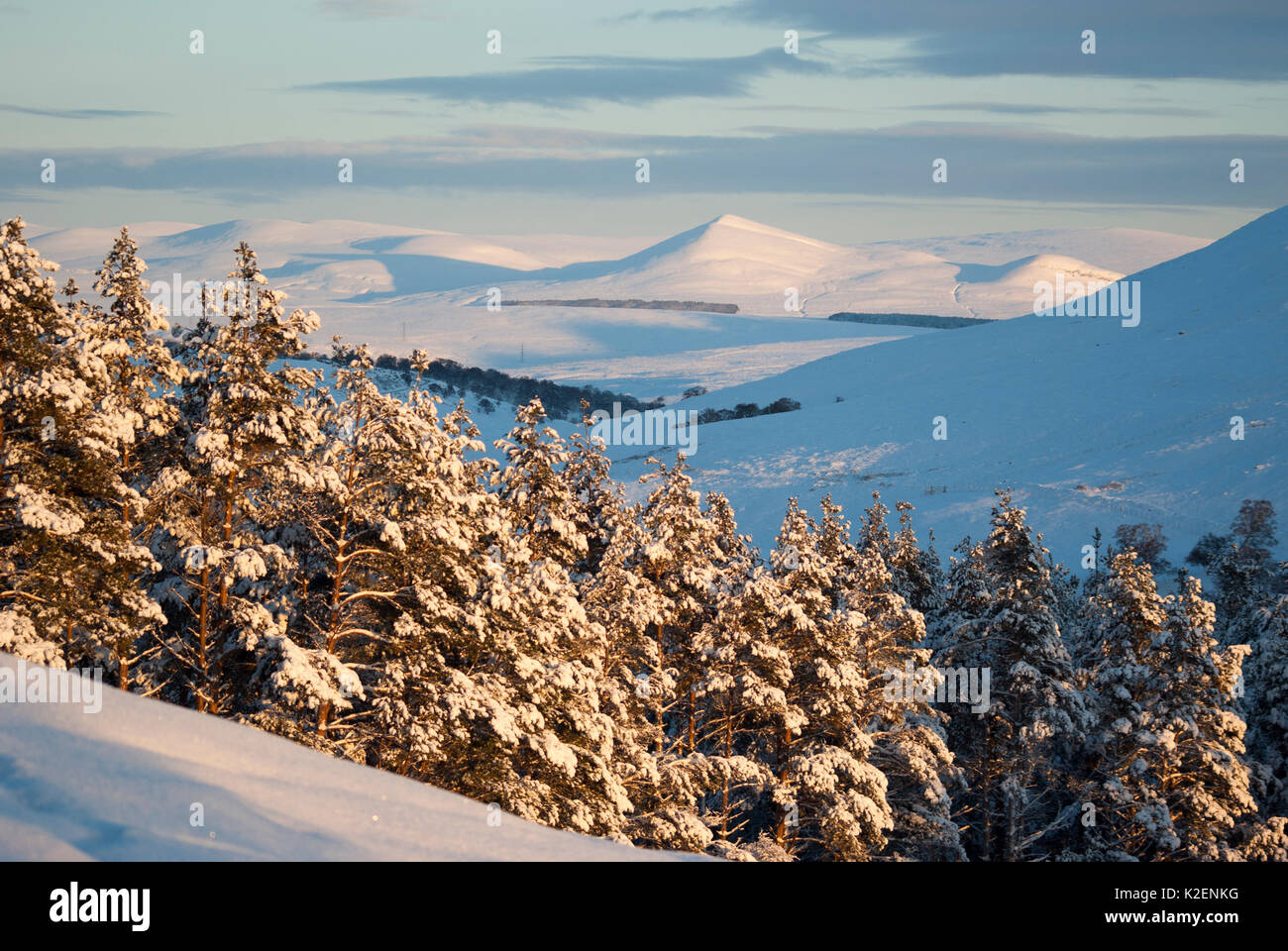 Highland landscape with forestry and hills including Beinn Smeòrail ...