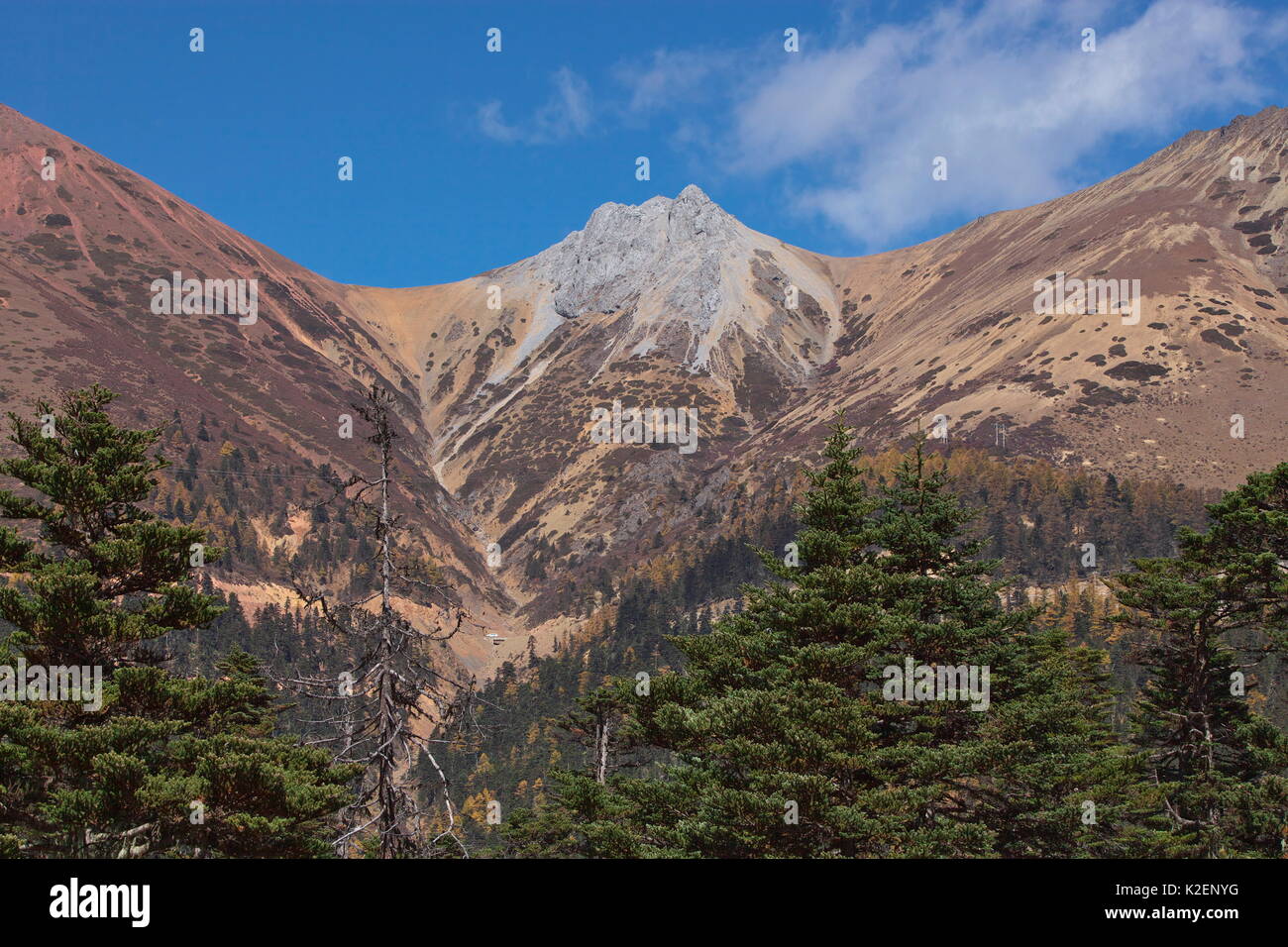 Baima Snow Mountain landscape, Yunnan Province, China. October 2009 ...