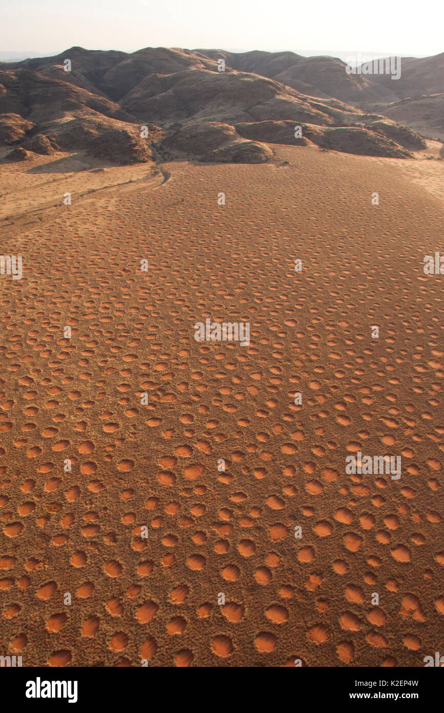 Aerial view of Fairy Circles, Gerebes Plain, Namibia, September 2011 ...
