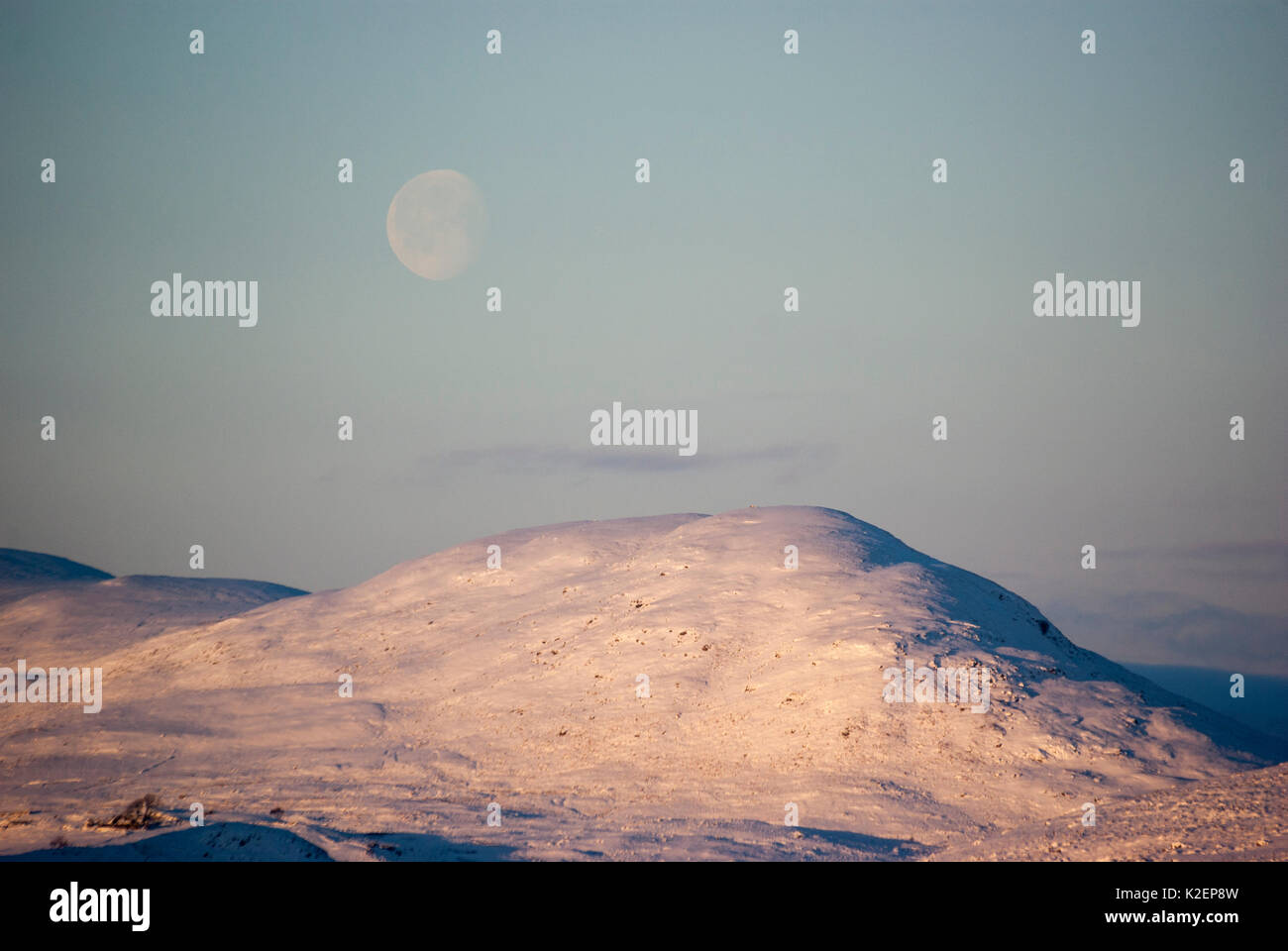 Moon over hill, Grumby Rock, winters day, Rogart, Sutherland, Highlands ...