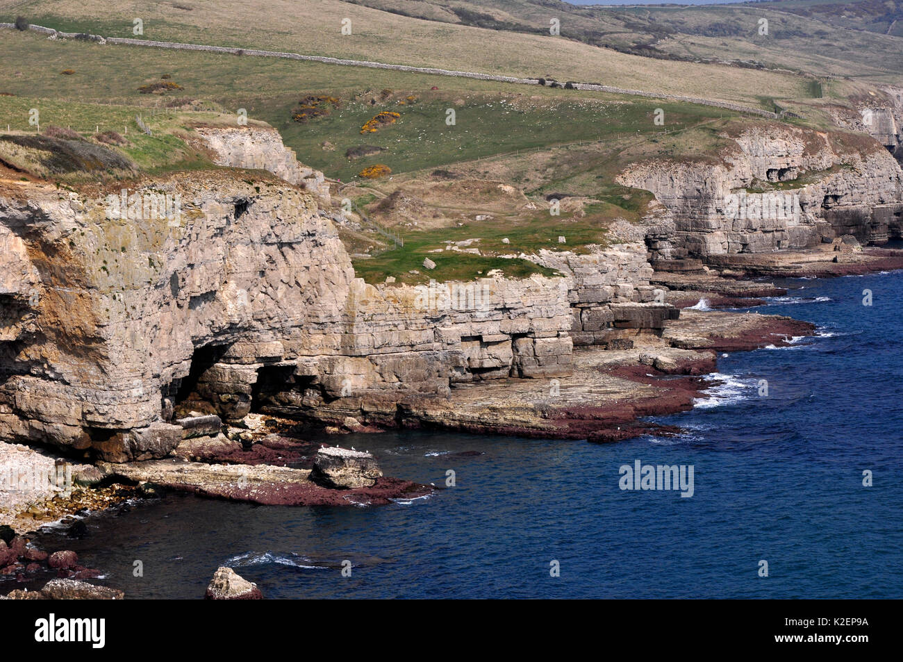 Seacombe cliff dorset hi-res stock photography and images - Alamy