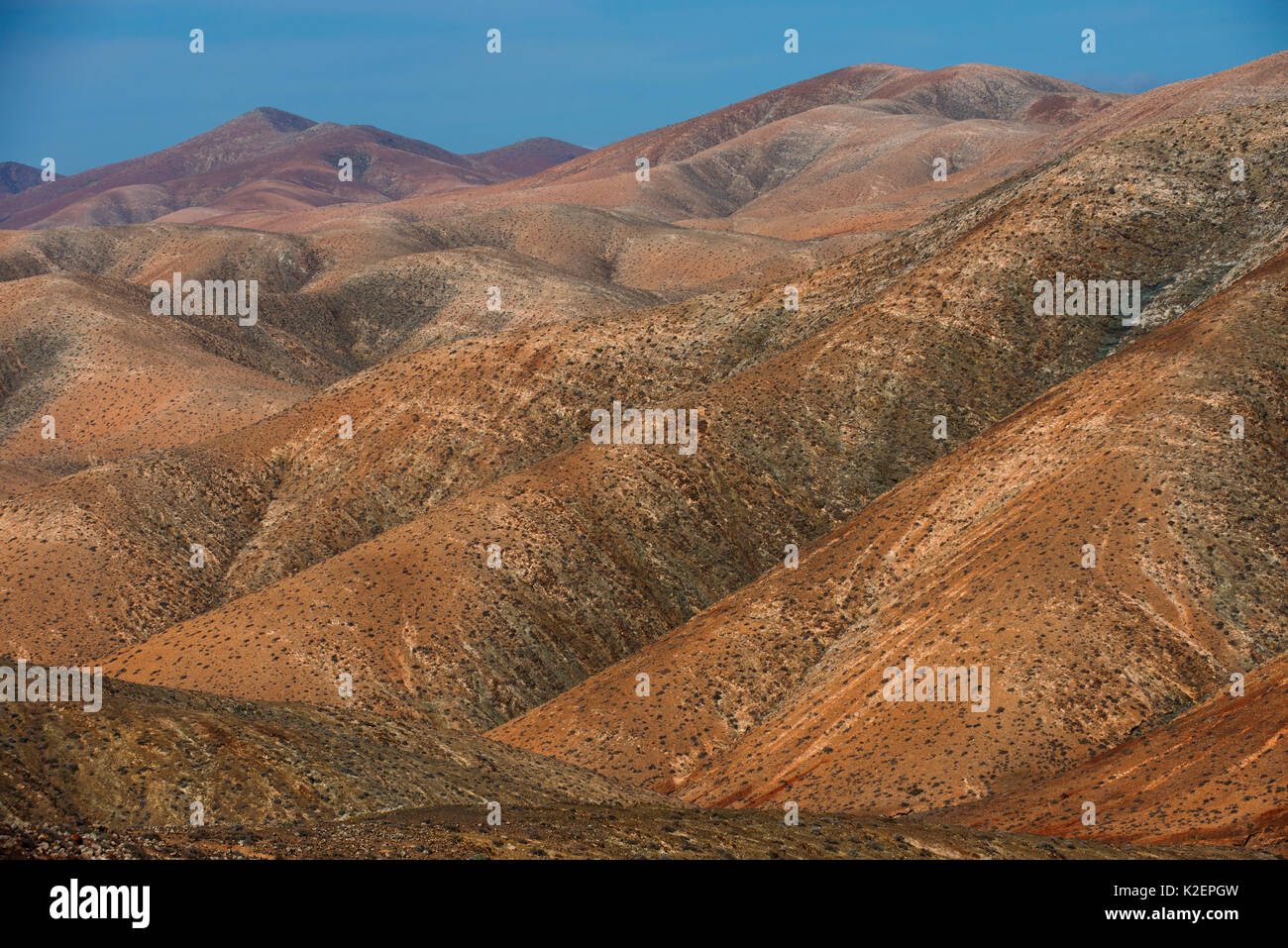 Mirador de morro velosa hi-res stock photography and images - Alamy