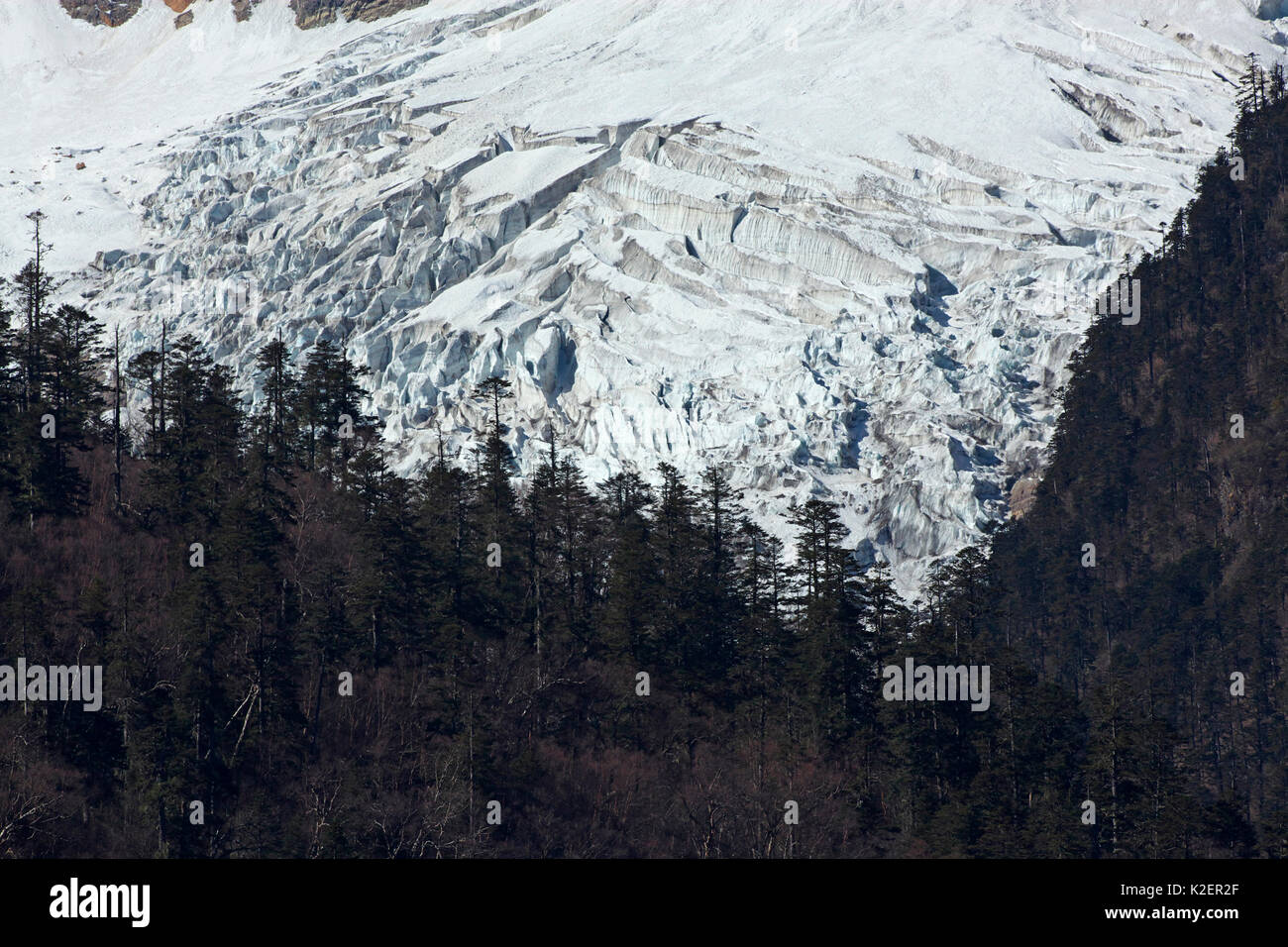 Kawakarpo Mountain covered in snow, with conifer trees, Meri Snow ...