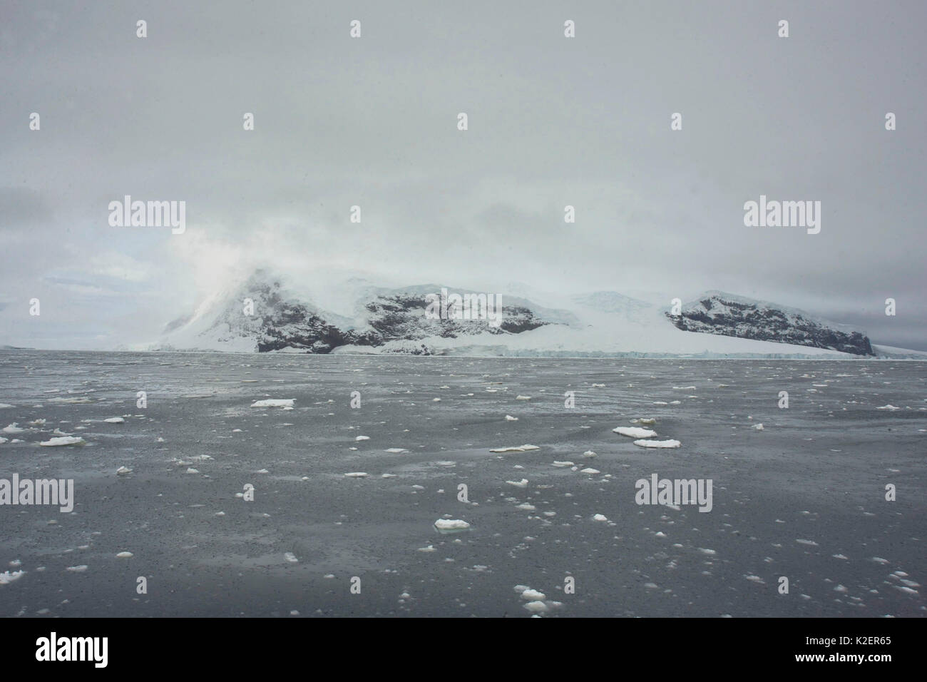 Balleny island hi-res stock photography and images - Alamy