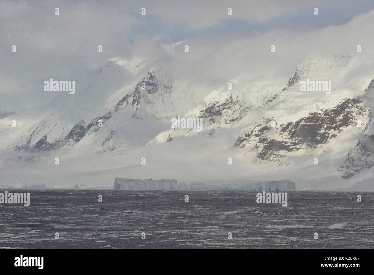 Balleny island hi-res stock photography and images - Alamy