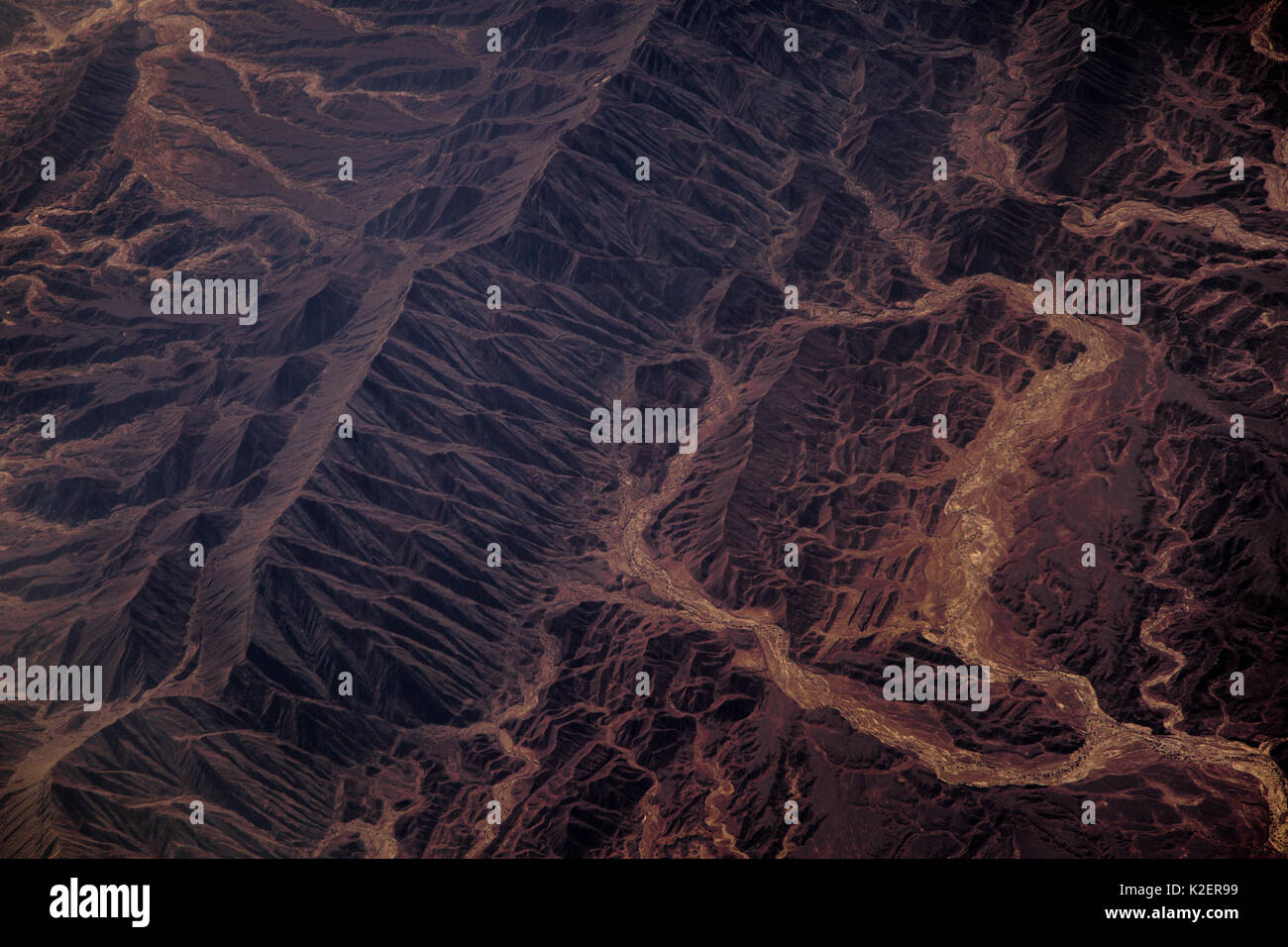 Birds of pakistan hi-res stock photography and images - Alamy