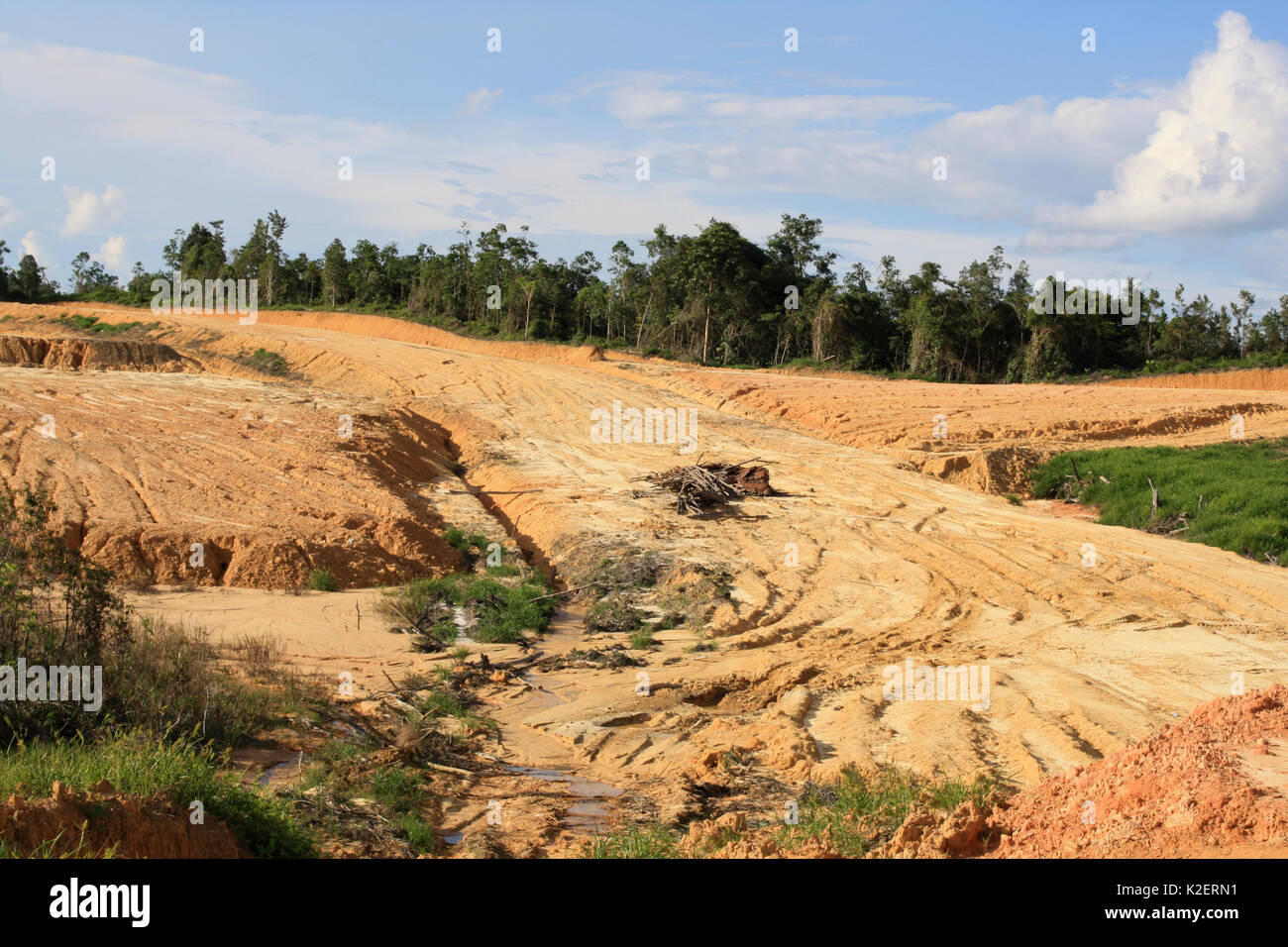 Soil Erosion Deforestation