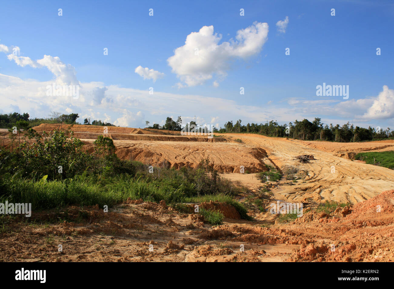 Bleaching of soil and loss of topsoil hi-res stock photography and ...