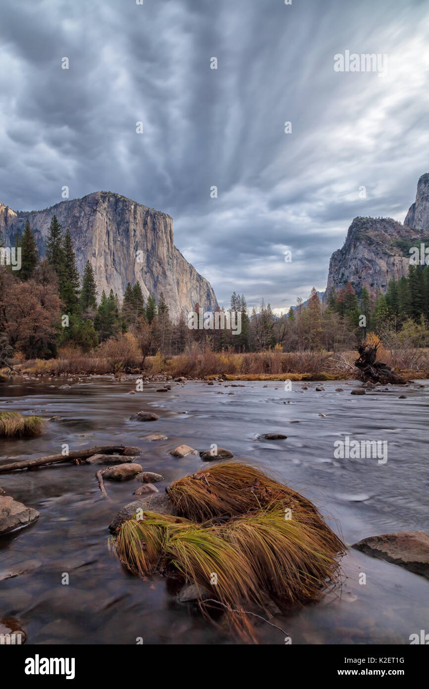 The iconic El Capitan Peak and the Merced River as the stormy clouds ...