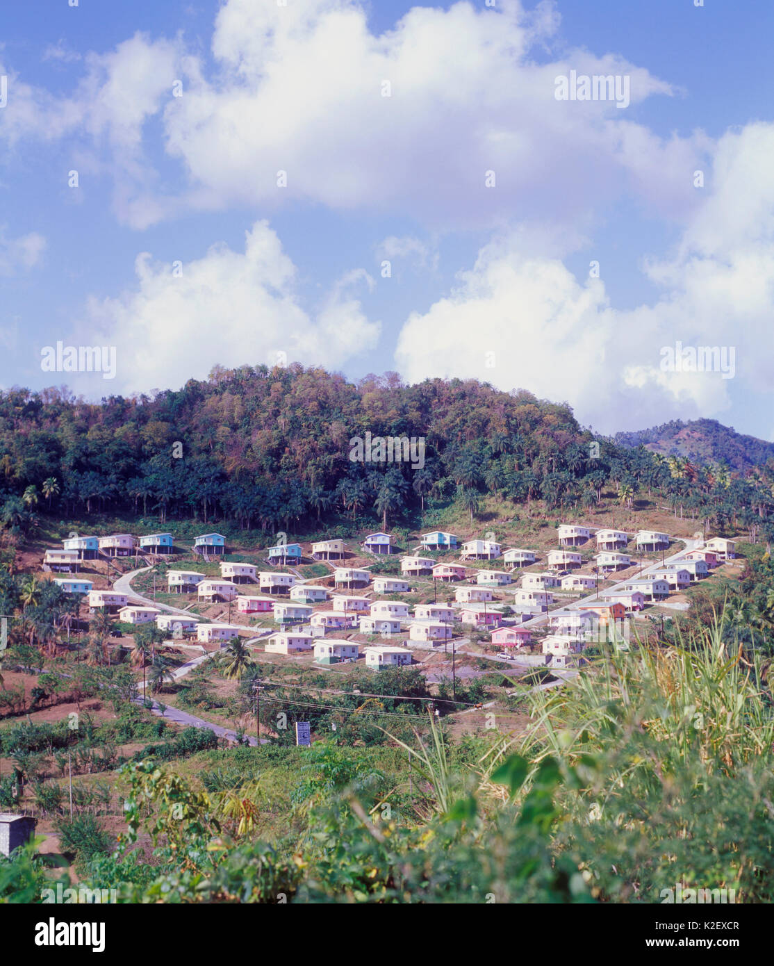 A housing development on the Leeward Coast of St. Vincent. Peter's Hope ...