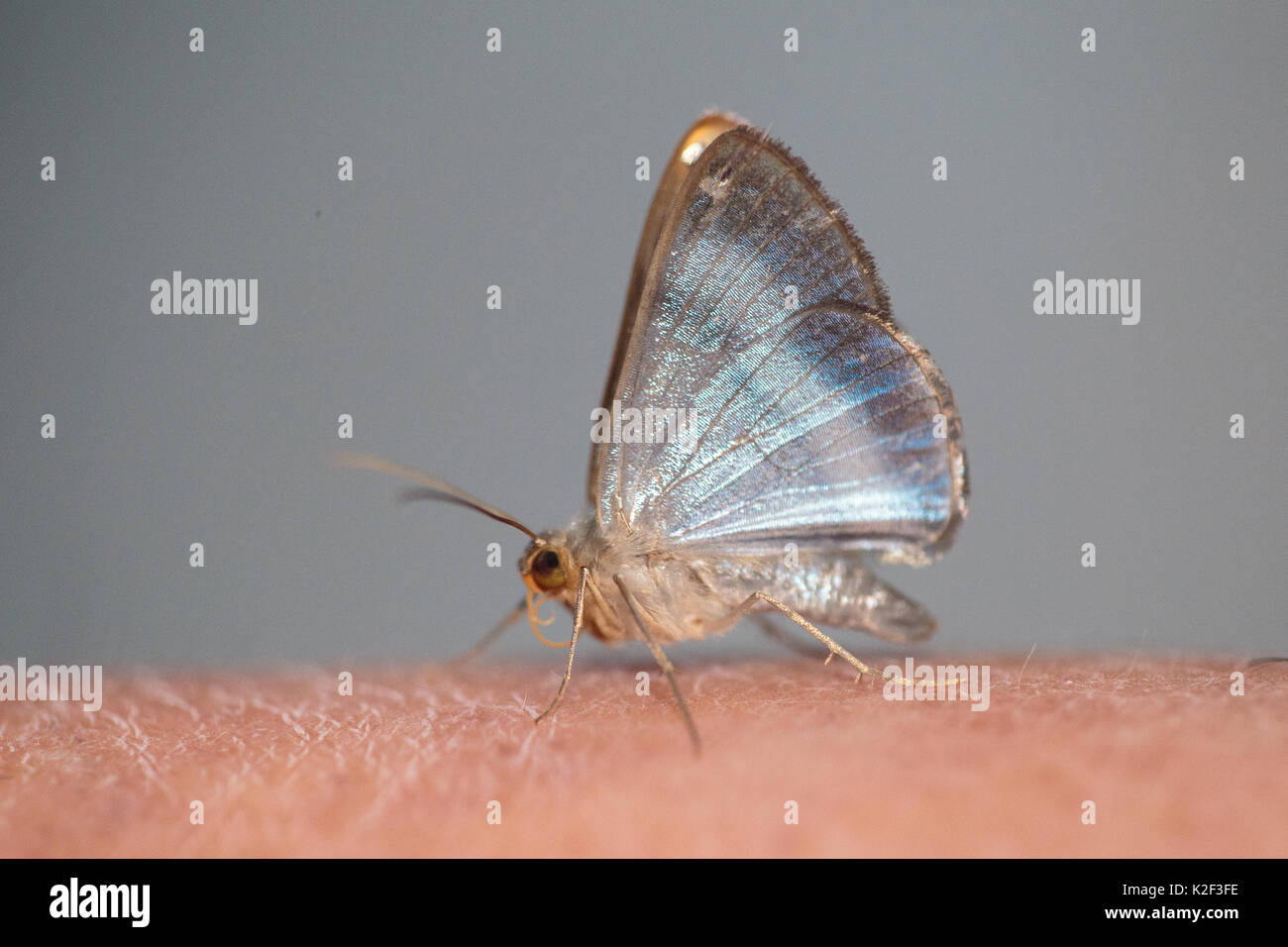 Tasta hi-res stock photography and images - Alamy