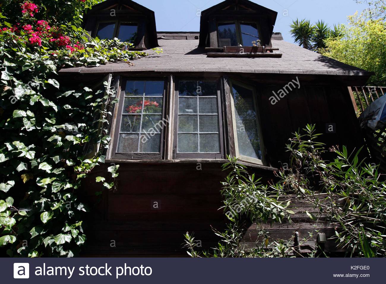 Yvette Vickers Stock Photos & Yvette Vickers Stock Images - Alamy