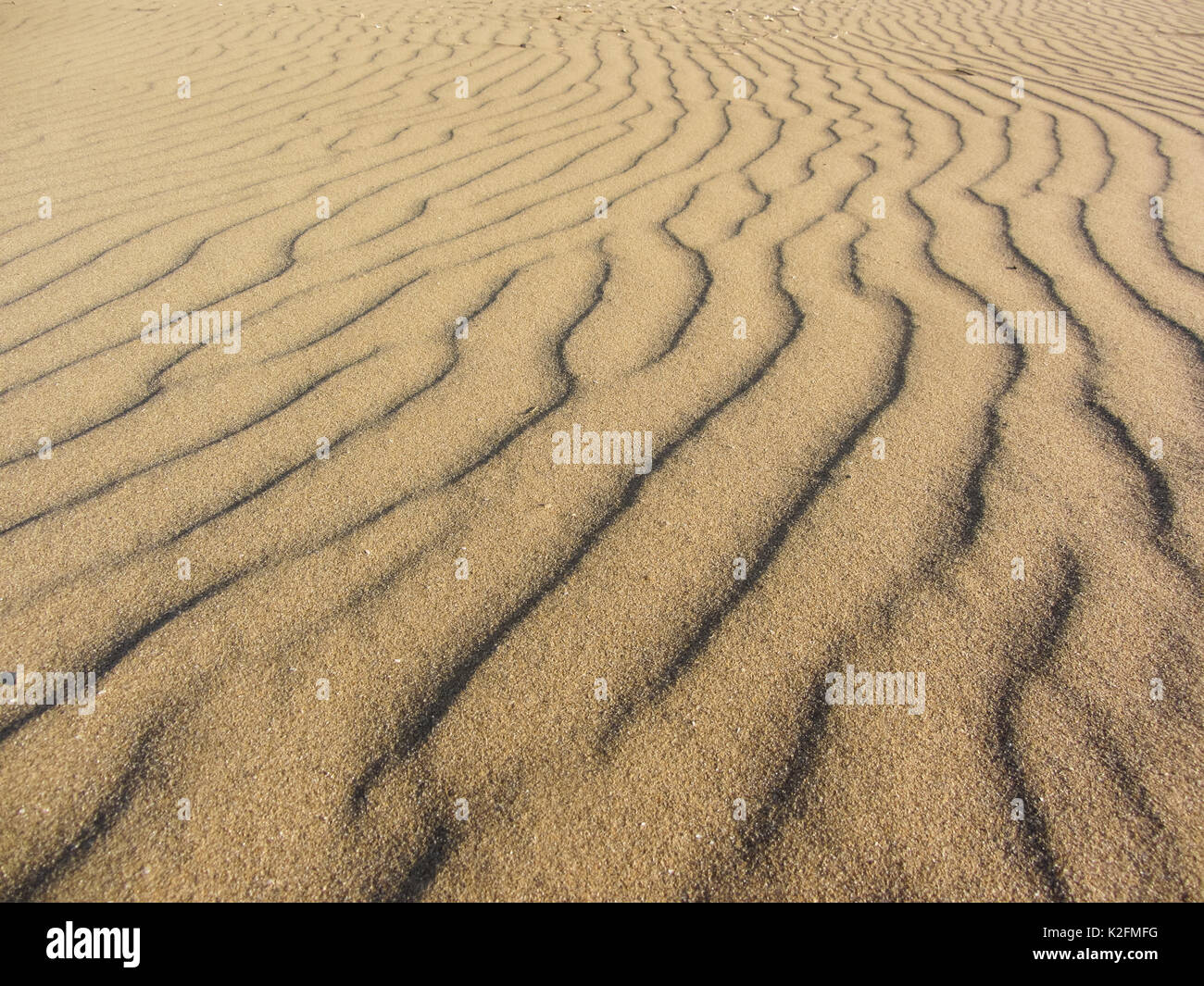 yellow sand moved by the wind Stock Photo - Alamy